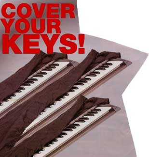 Welcome - Casio Keyboard Junkyard